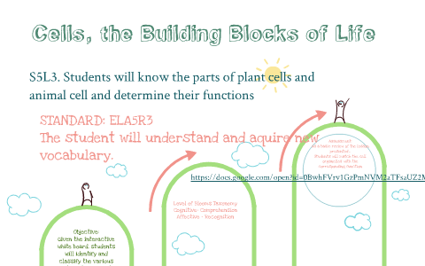 Cells, the building blocks of life. by Jacqueline Scott on Prezi