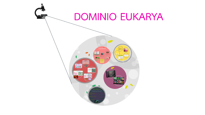 DOMINIO EUKARYA REINO PROTISTA Y FUNGI by LUIS FELIPE FLORES CRUZ on Prezi