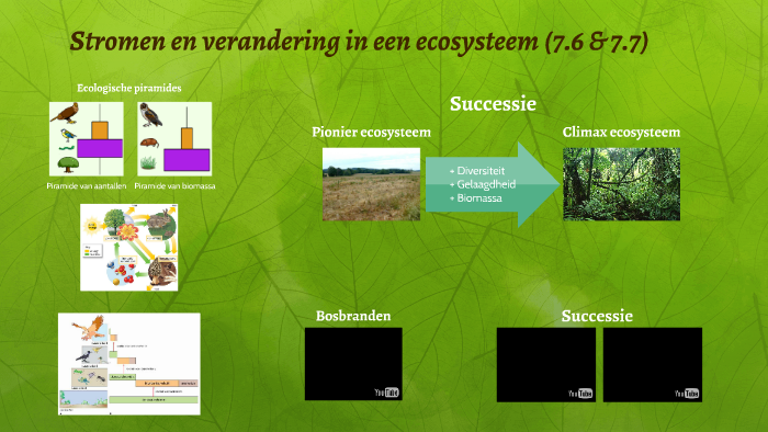 Stromen en verandering in een ecosysteem by Bram Karman