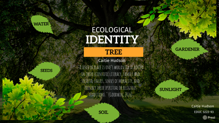 Ecological Identity Tree. by Caitie Hudson on Prezi