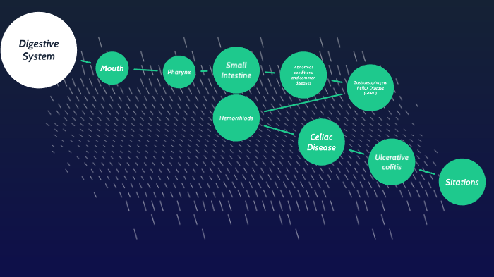 digestive by tabby payne on Prezi