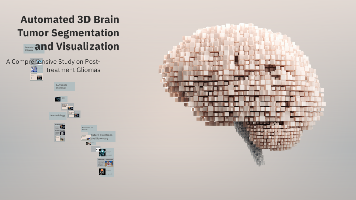 Automated 3D Brain Tumor Segmentation and Visualization by Eugene Kim on Prezi