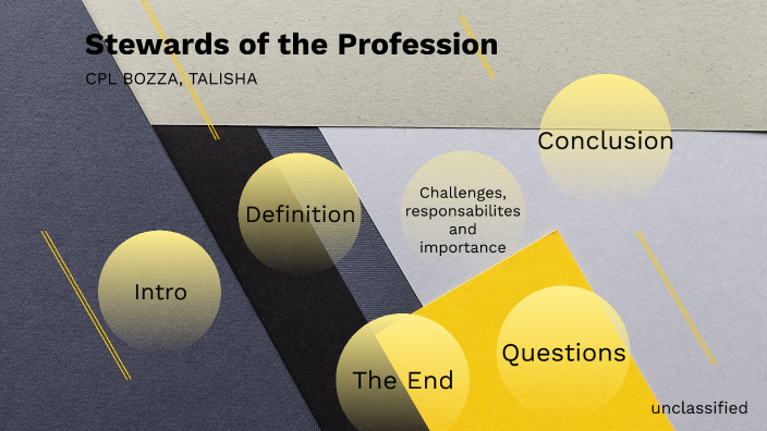 Steward of the Profession by Talisha Bozza on Prezi