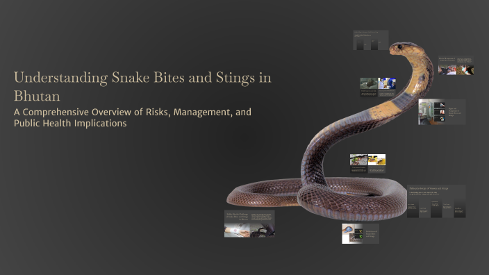 Understanding Snake Bites and Stings in Bhutan by on Prezi