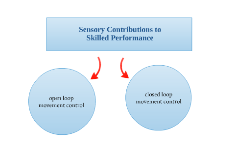 Motor Learning - Sensory Contributions to Skilled Performance by Paul ...