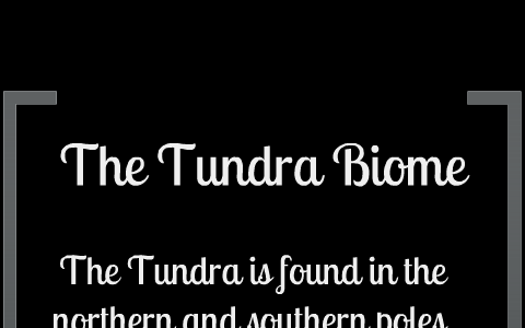 Biomes Project by Sam Skillman on Prezi