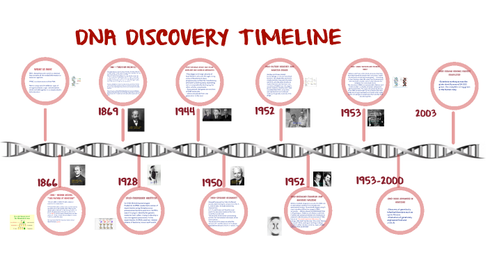 DNA Discovery Timeline by Agustina Lapuz on Prezi
