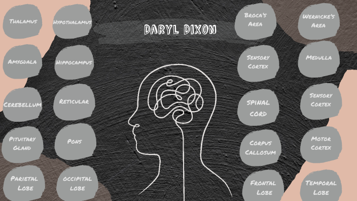 Kendall Carper-Celebrity Brain Project by Kendall Carper on Prezi