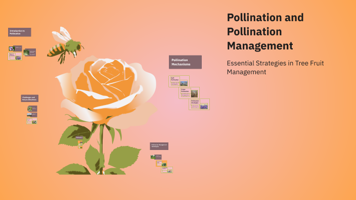 Pollination and Pollination Management by Alie Scott on Prezi