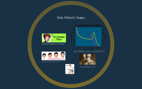 Male Puberty Stages by Blue Richard on Prezi