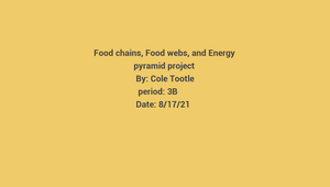 Food Chains, Food Webs, and Energy Pyramid Project by Austin Tootle on ...