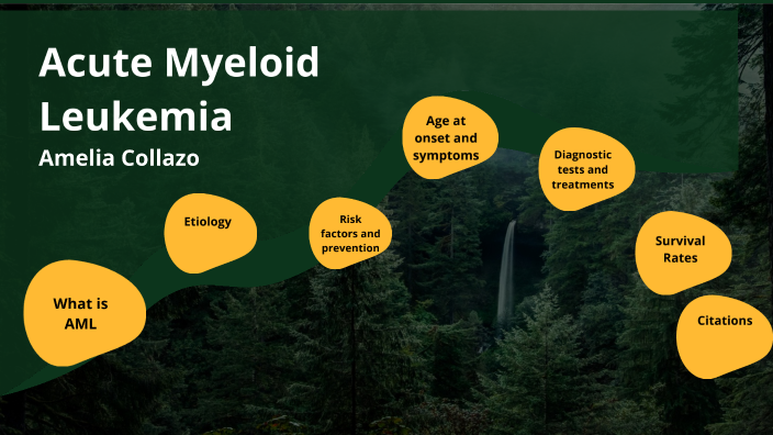 Acute Myeloid Leukemia by Amelia Collazo on Prezi