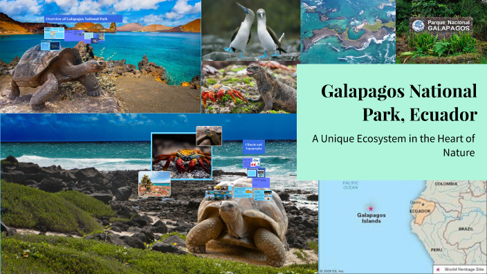 Galapagos National Park, Ecuador by Tyson binder on Prezi