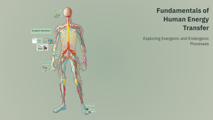 Fundamentals of Human Energy Transfer by nhet cada on Prezi