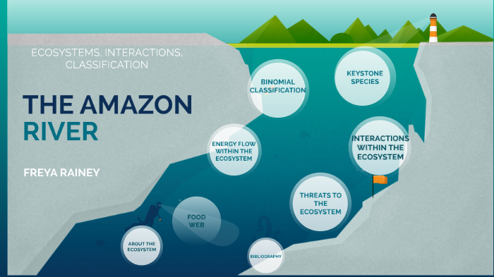 Ecosystems - The Amazon River by freya Rainey on Prezi
