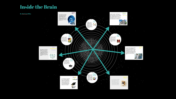 Inside the Brain by Katelynn Daley on Prezi