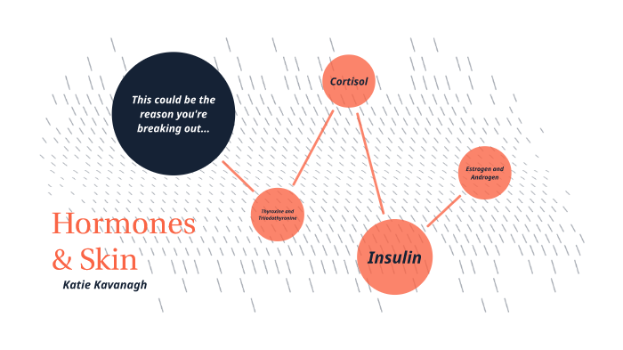 Hormones and Skin by Katie K on Prezi