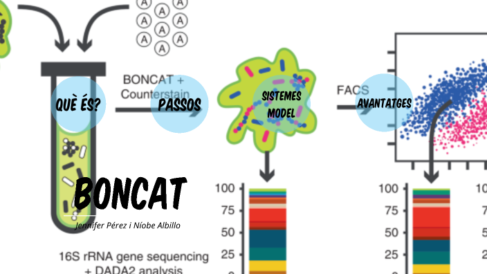 Boncat by Níobe Albillo Garcia on Prezi