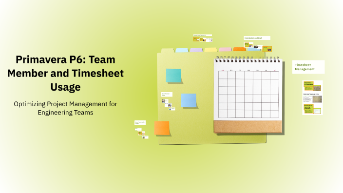 Primavera P6: Team Member and Timesheet Usage by Engr.Yasir Ali Khan on ...