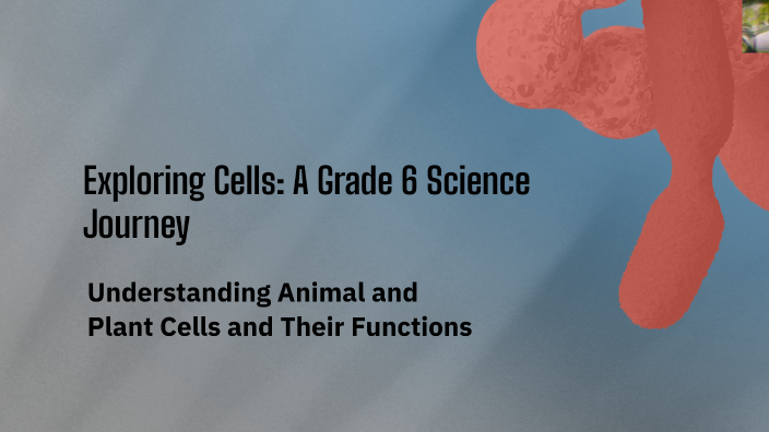 Exploring Cells: A Grade 6 Science Journey by Tessa Remillard on Prezi