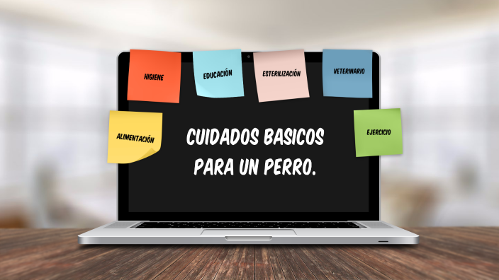 Cuidados Basicos para un Perro by Monse Quiros on Prezi