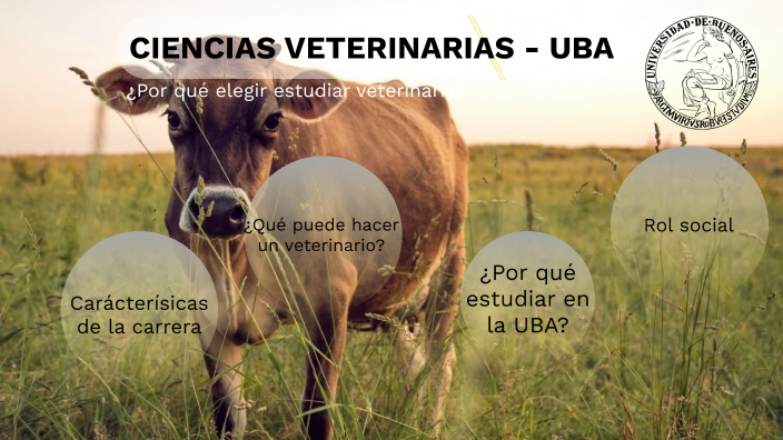 Ciencias Veterinarias en la UBA by Lucas Güimil on Prezi