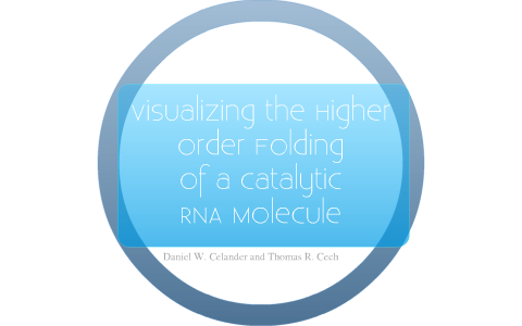 Visualizing The Higher Order Folding of a Catalytic RNA Molecule by ...