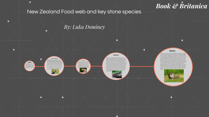 New Zealand Food web and key stone species by Luka Dominey on Prezi