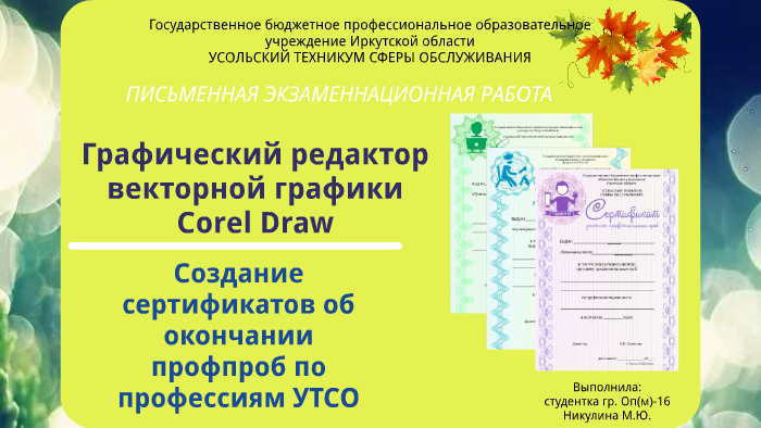 Диплом by Maria Nikulina