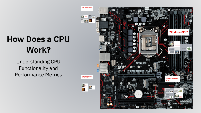 How Does a CPU Work? by Ruby Smith on Prezi