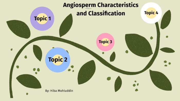 Angiosperm Characteristics and Classification by hiba M on Prezi
