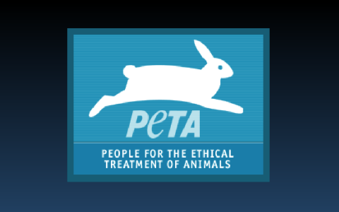 PETA PETA PETA PETA Pocket by Noah Carpenter on Prezi