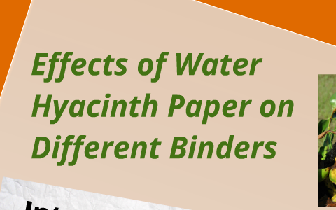 Effects of Water Hyacinth Paper on Different Binders by Teresa Danao on ...