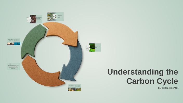 Understanding the Carbon Cycle by julian s on Prezi