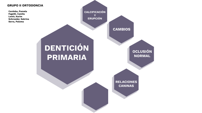 denticion primaria by Karim Lemir on Prezi