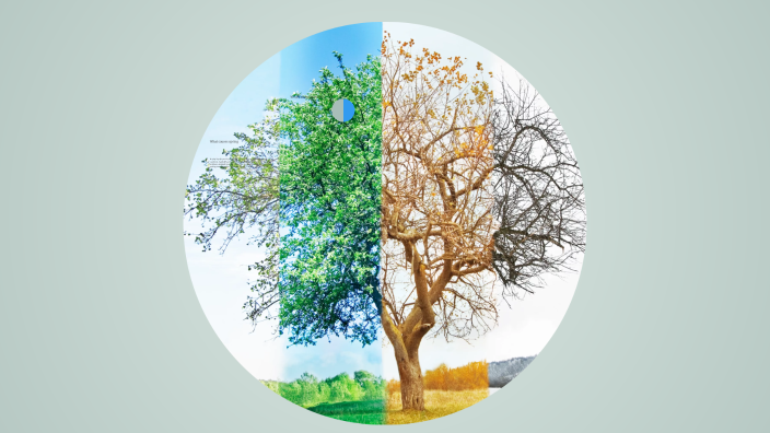 Exploring the Four Seasons by Mihir P on Prezi
