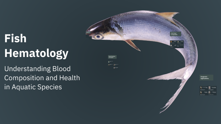 Fish Hematology by Dr Ritesh Tandel on Prezi