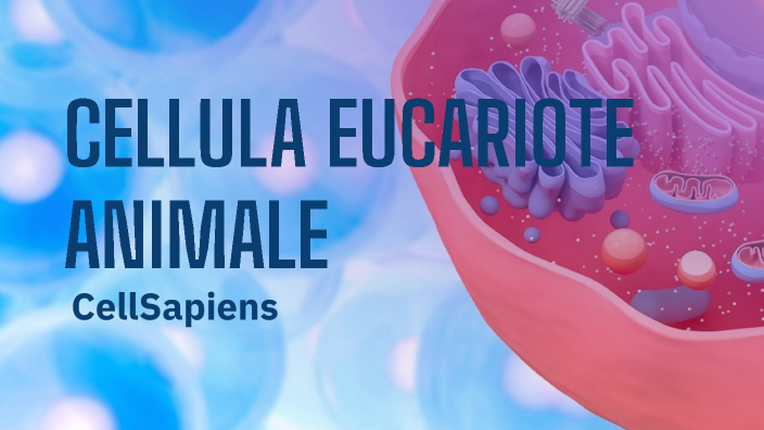 Cellula animale eucariote by Francesco Calò from Liceo XXV Aprile on Prezi