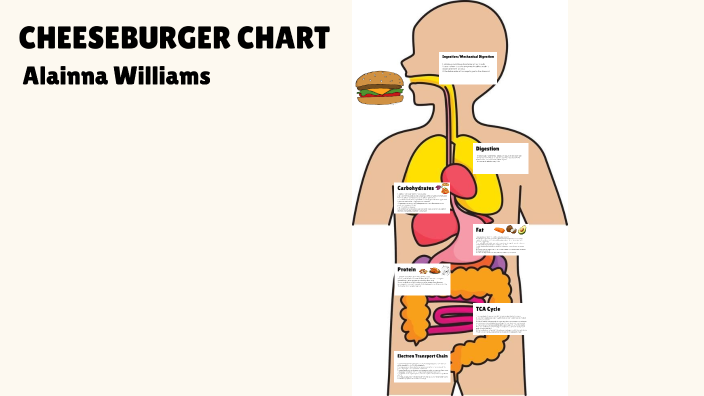 CHEESEBURGER CHART by Alainna Williams on Prezi