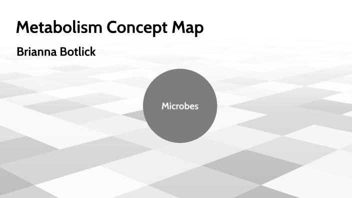 Metabolism Concept Map by Brianna B on Prezi