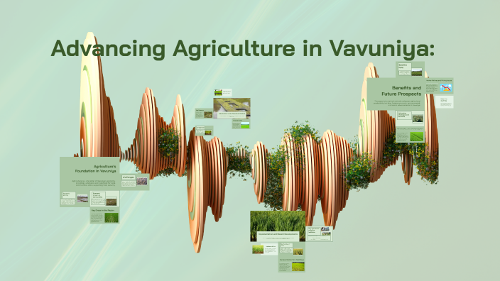Advancing Agriculture in Vavuniya: The Parachute Method for Paddy ...