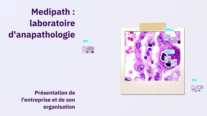 Medipath : laboratoire d'anapathologie by Nora Boukaddour on Prezi