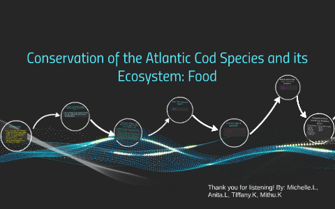 Conservation of the Atlantic Cod Species and its Ecosystem: by mithu ...