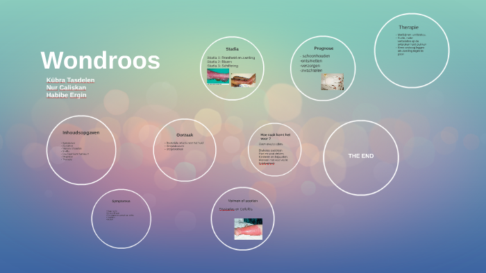 Wondroos by habibe Ergin on Prezi