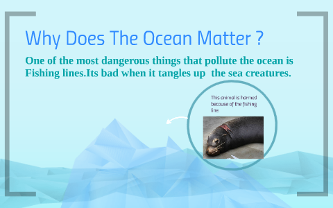 Why Does The Ocean Matter by jayden chance on Prezi