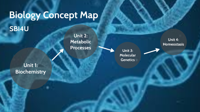 Biology Concept Map by mallory gale on Prezi