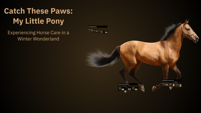 Catch These Paws: My Little Pony by Asher Morrison on Prezi