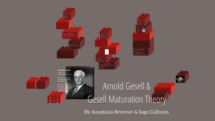 Arnold Gesell by on Prezi