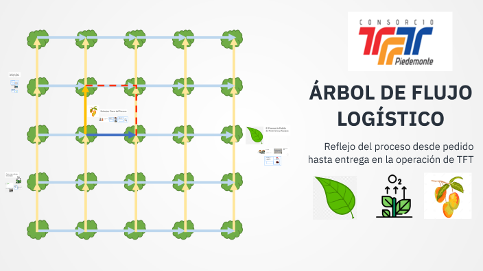 ÁRBOL DE FLUJO LOGÍSTICO by on Prezi