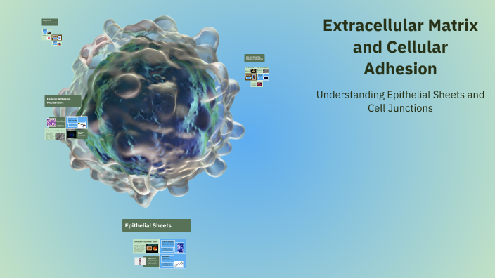 Extracellular Matrix and Cellular Adhesion by MOHANISH KADIYAN on Prezi